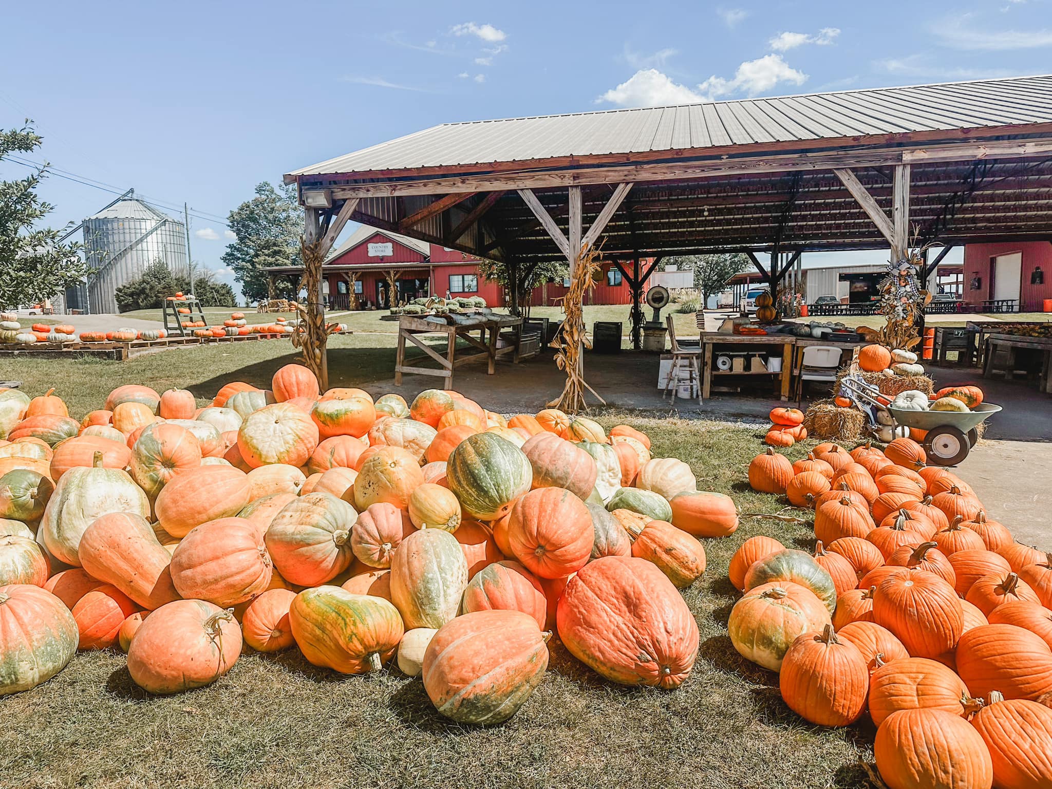 Fall Outings: Celebrate autumn with hikes, train rides and pumpkin ...